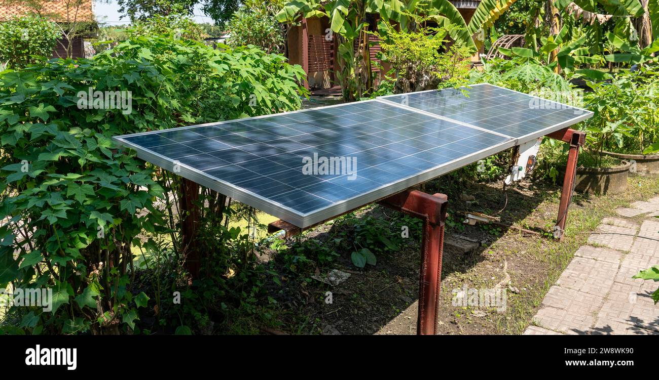 Garden choices hi-res stock photography and images - Alamy