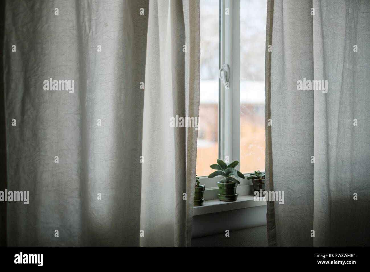 Indoor window with curtain and plant Stock Photo - Alamy