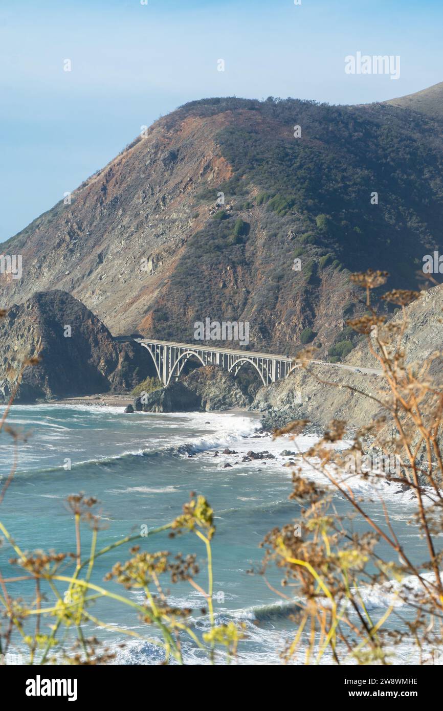 Bridge in Big Sur shoot through plants Stock Photo - Alamy