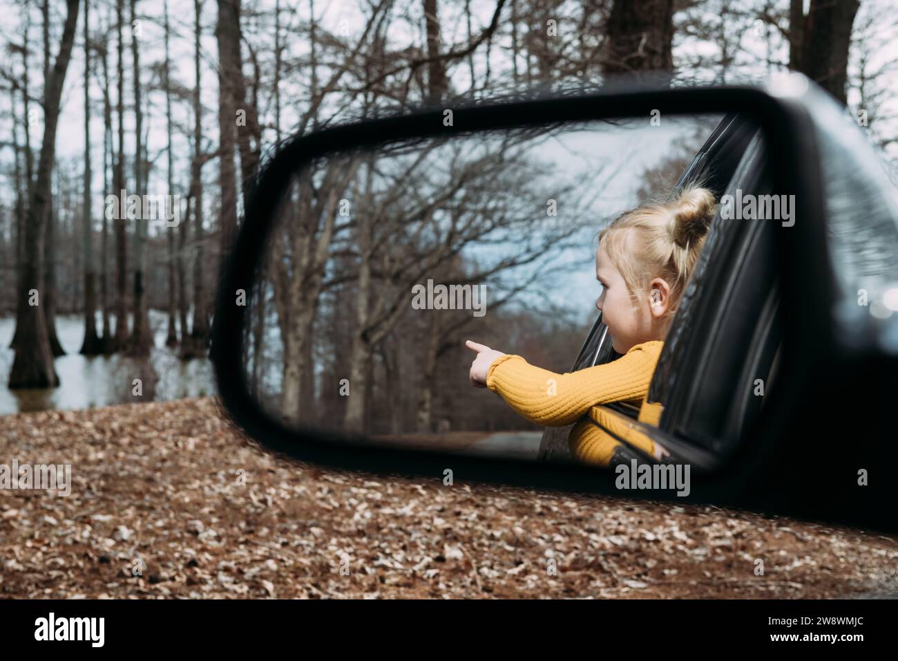 Young child looking out car window pointing at scenery Stock Photo - Alamy