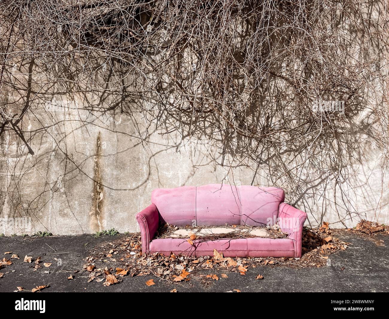 Old pink sofa abandoned in empty outdoor lot Stock Photo - Alamy