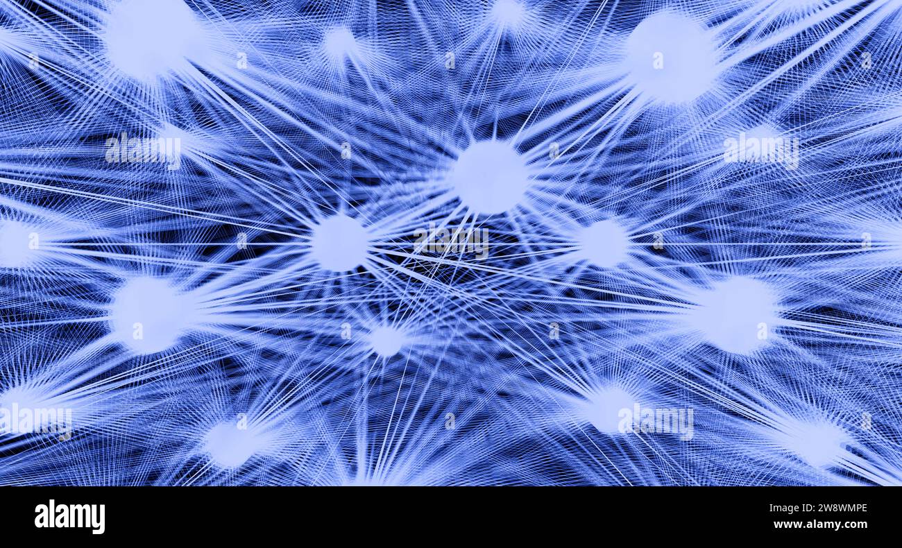 Internet analysis hi-res stock photography and images - Alamy