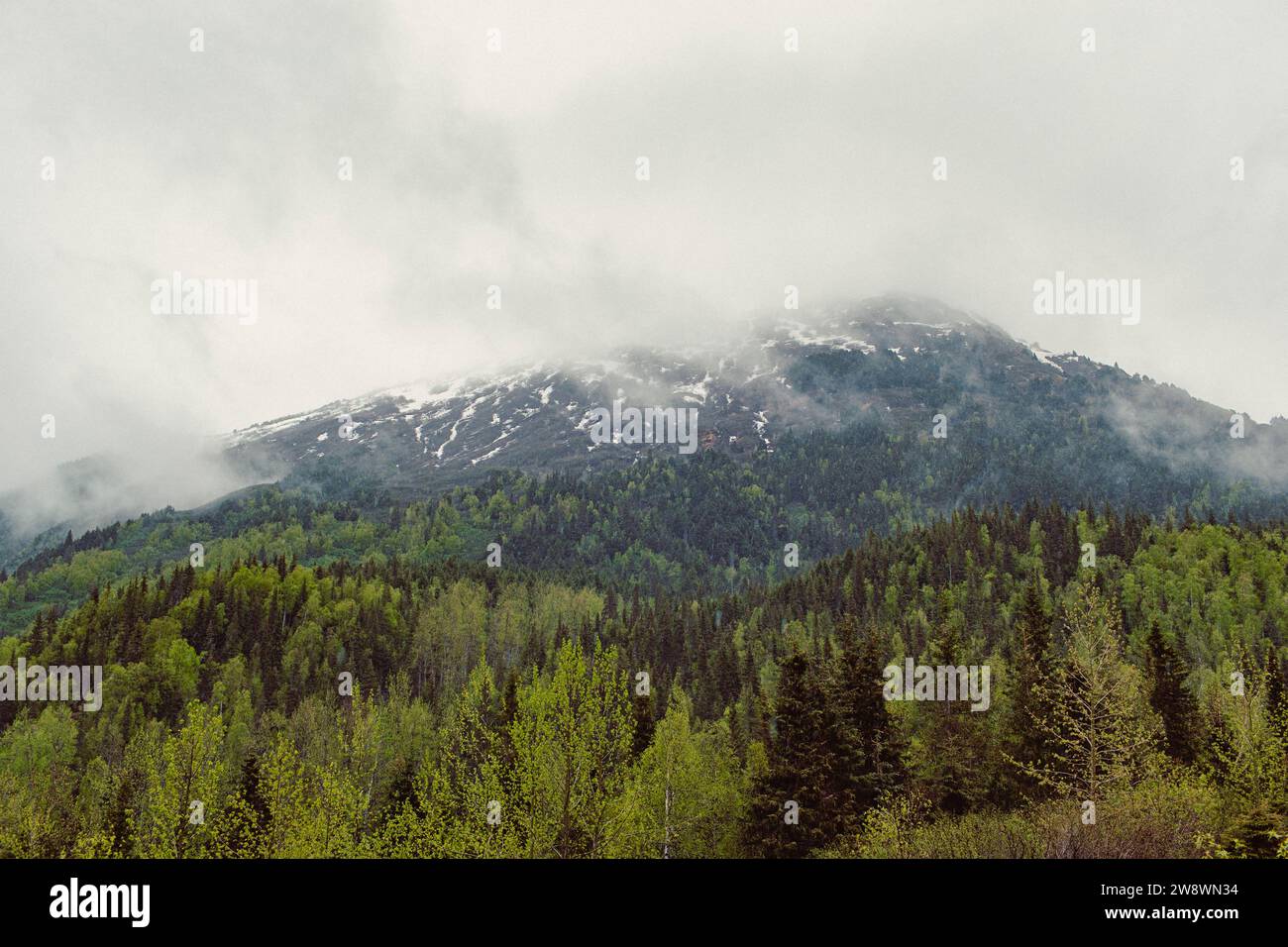 Dramatic fog rolls over a mountain range in Alaska Stock Photo - Alamy
