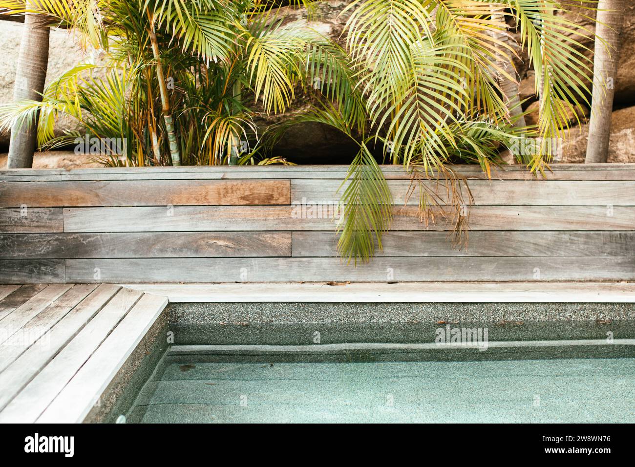 Relaxing Pool Next to Palm Trees Stock Photo - Alamy