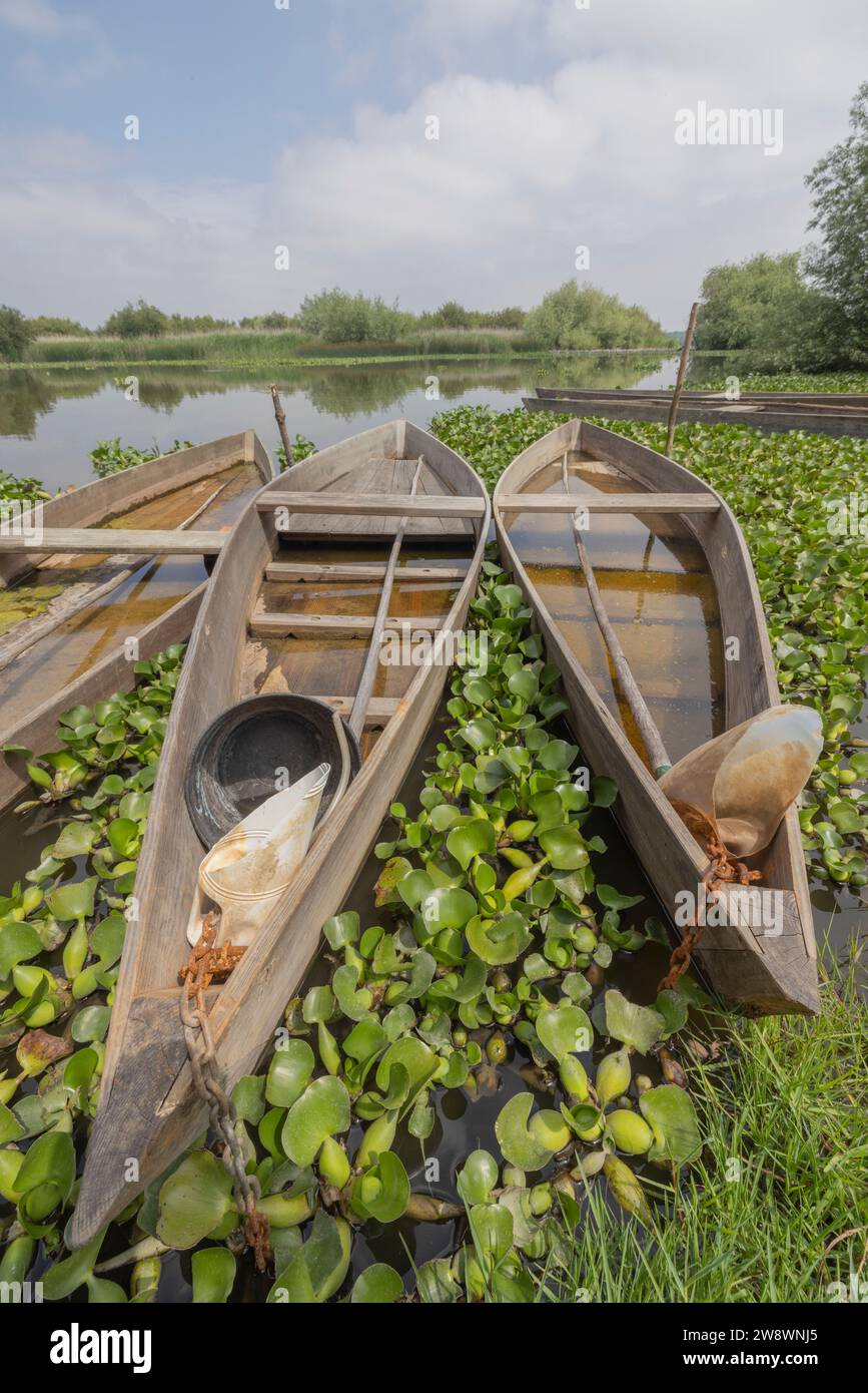 small wooden boats over lake Stock Photo - Alamy
