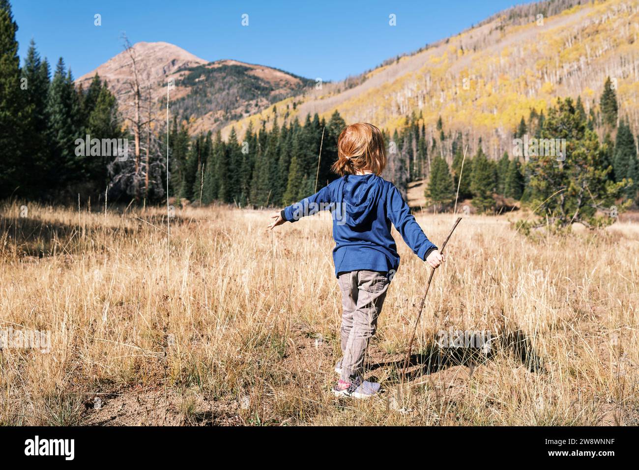 A child enjoying leisure time in a wilderness landscape Stock Photo - Alamy