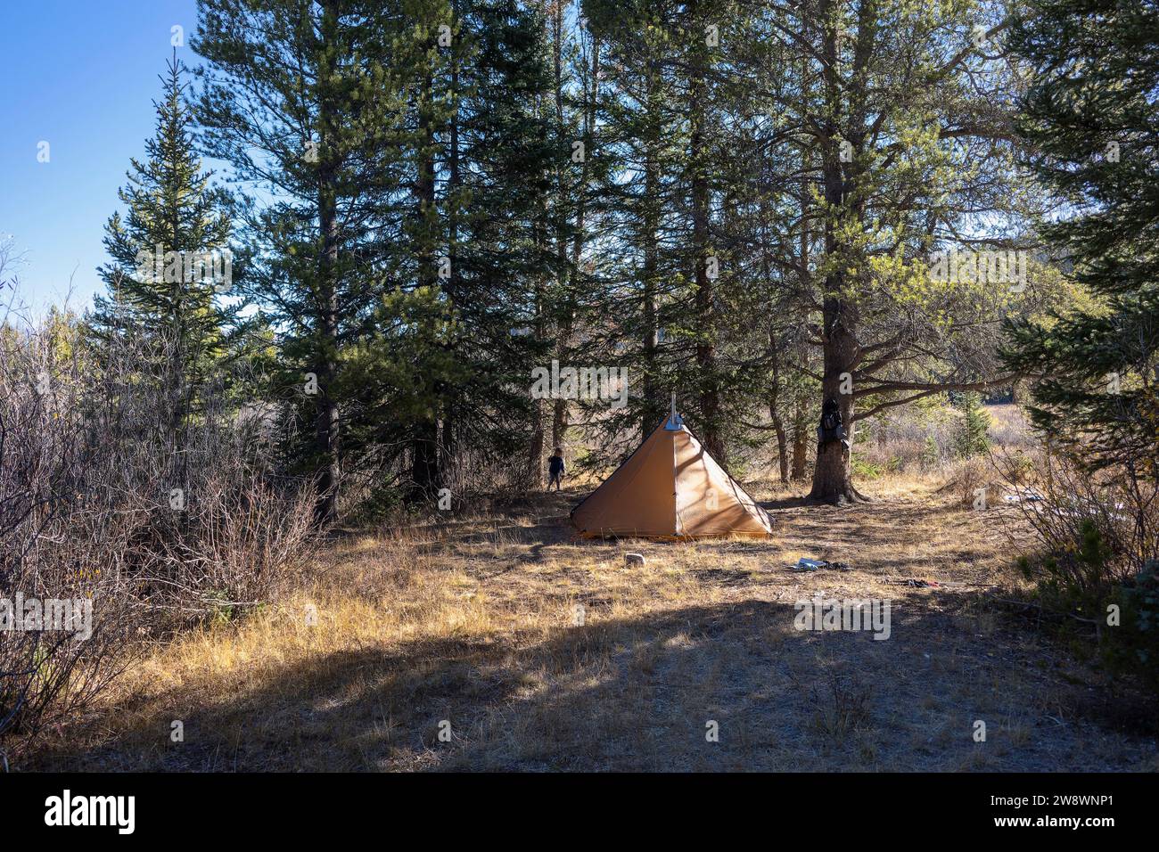 Tipi camping in the backcountry of Colorado Stock Photo - Alamy