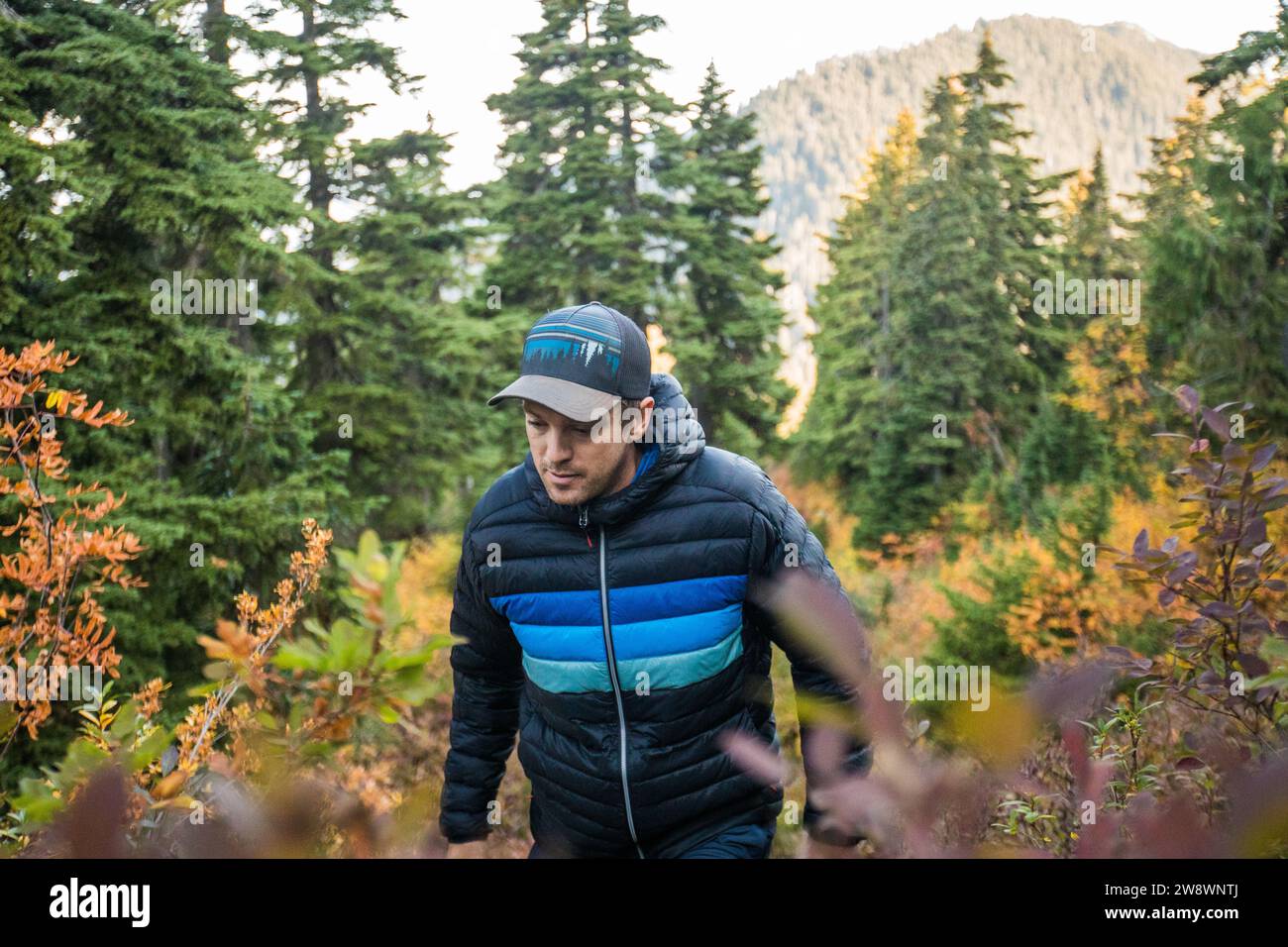 Hiking jacket hi-res stock photography and images - Alamy