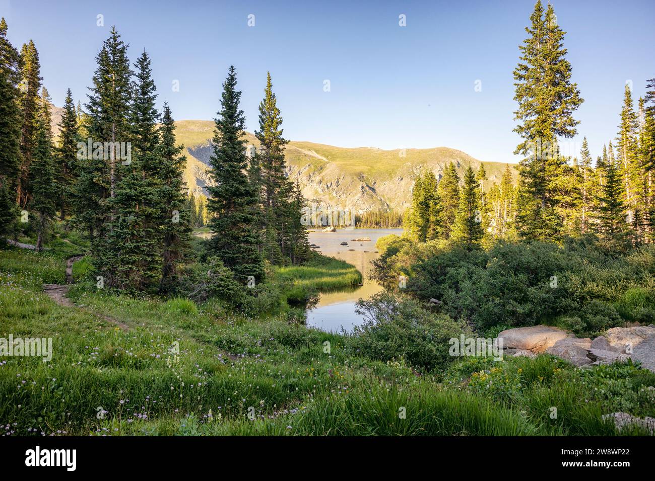 Diamond wilderness hi-res stock photography and images - Alamy