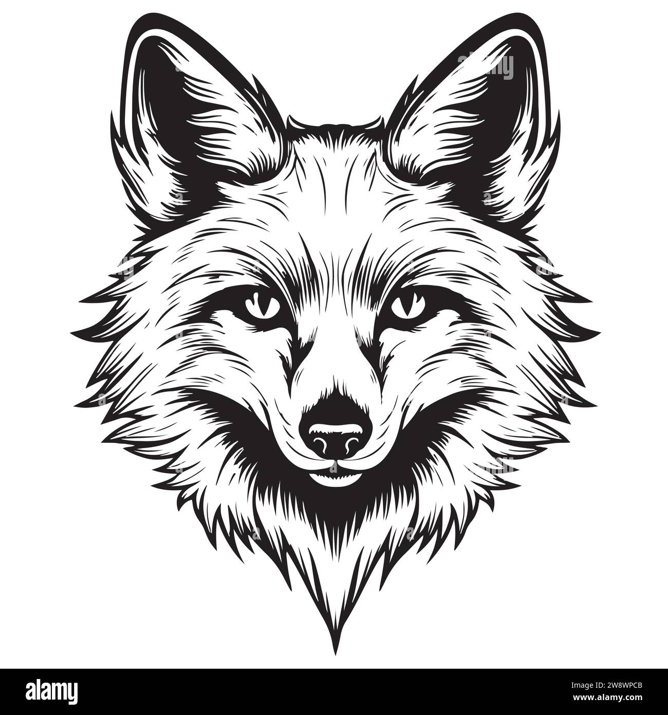 Fox. Graphic, sketch, black and white, hand-drawn portrait of a Foxs ...