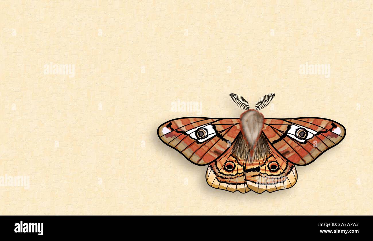 hand drawing illustration moth textured beige background Stock Photo ...