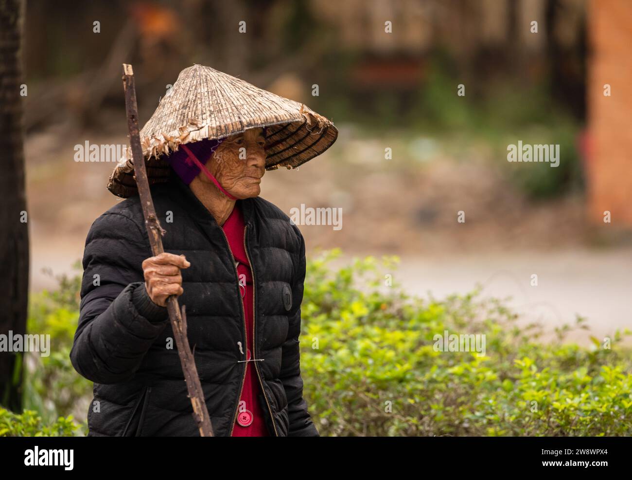 Poor old Woman from Vietnam Stock Photo - Alamy