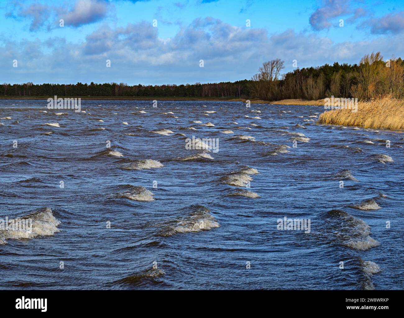 Bagenz, Germany. 22nd Dec, 2023. The storm depression "Zoltan" drives ...