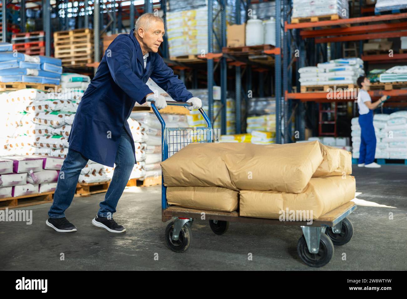 Elderly man loader with cargo cart loaded with bags Stock Photo - Alamy