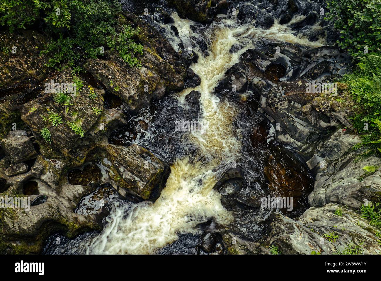 Irfon forest hi-res stock photography and images - Alamy