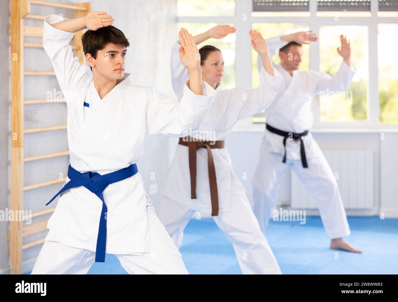 Athletes have starting position and repeating sequence of punches and ...