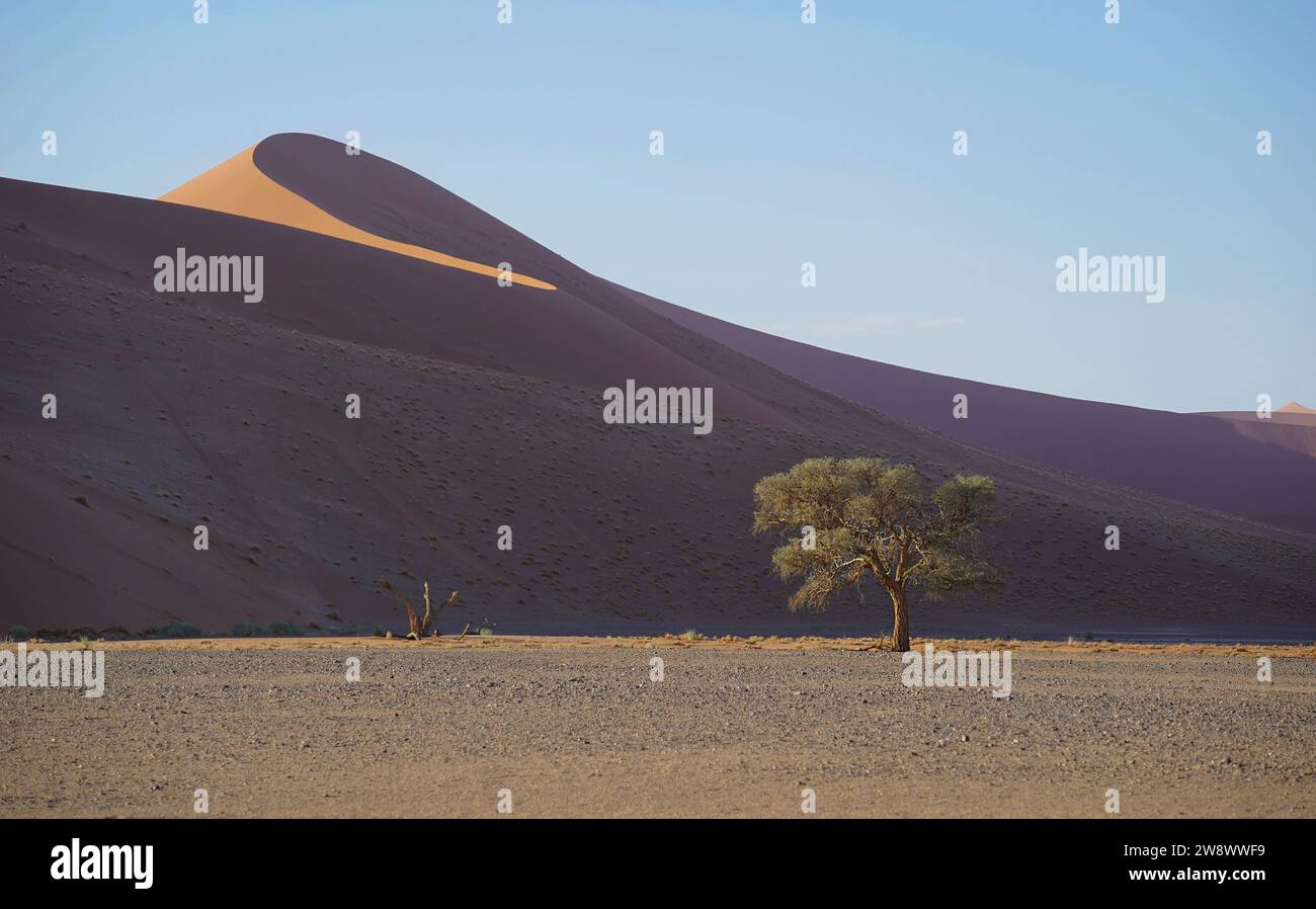 Namibia landscape hi-res stock photography and images - Alamy