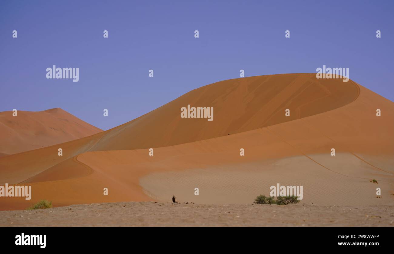 Big Mama Dune in Sossusvlei, Namibia. Large red sand dunes and blue sky ...