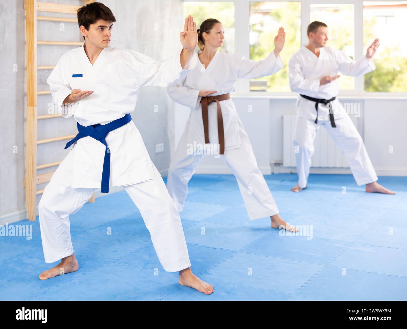 Athletes have starting position and repeating sequence of punches and ...