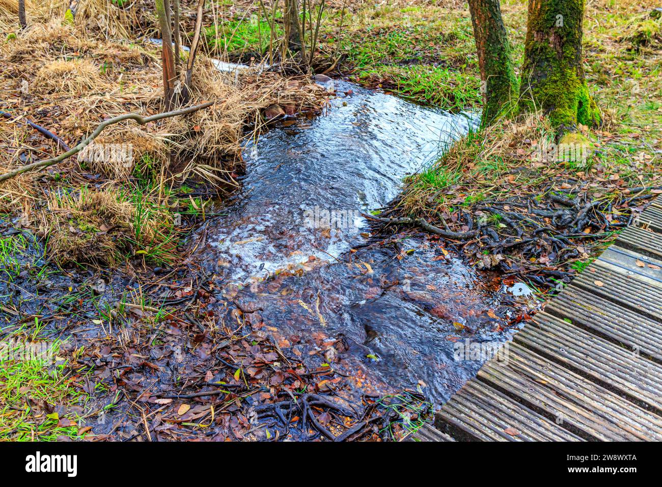 Pathway underwater hi-res stock photography and images - Alamy