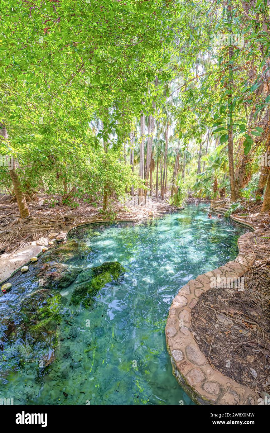 Mataranka hot pools in Elsey National Park in the Northern Territory ...