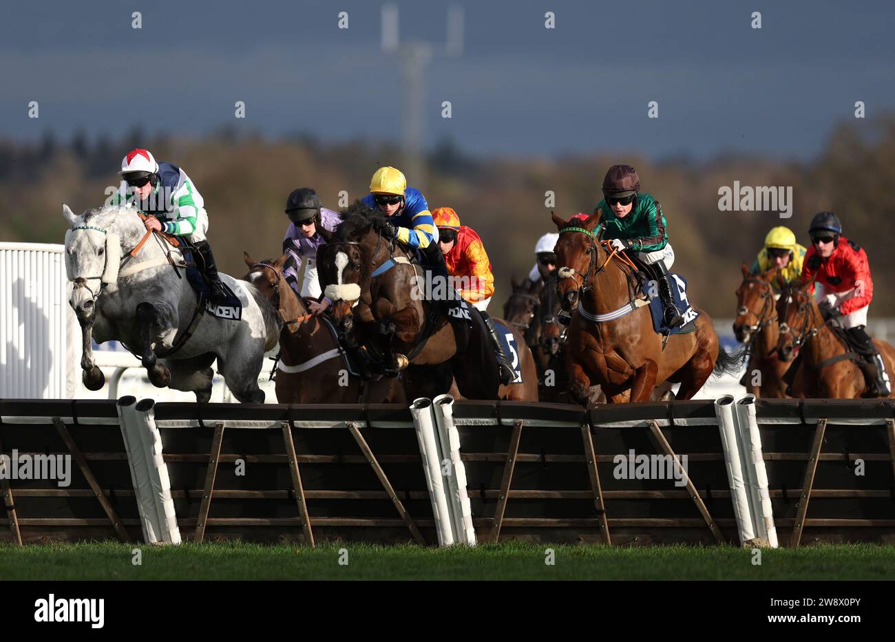 Immortal fame horse hi-res stock photography and images - Alamy