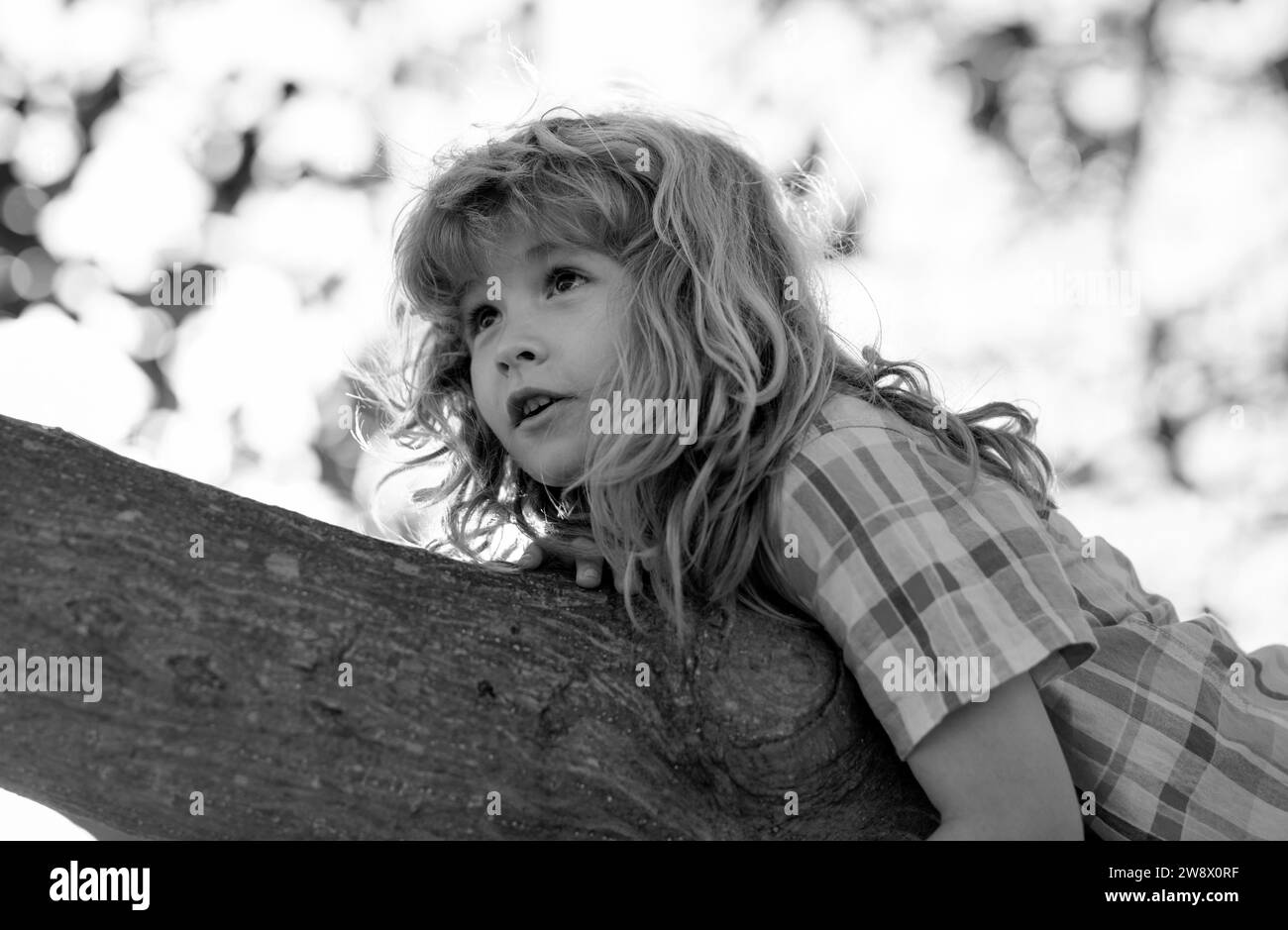 Child on a tree branch. Child climbing in adventure activity park ...