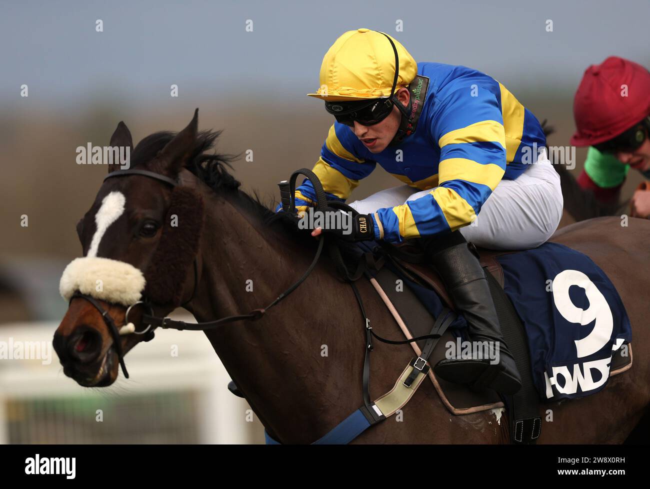 Immortal Fame ridden by Cameron Iles goes on to win the Howden ...