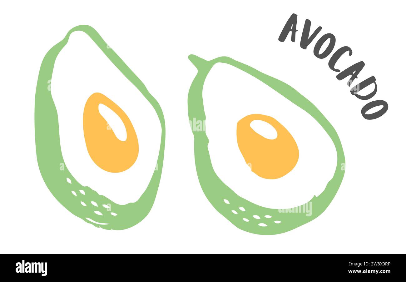 Set of 2 avocado cut in half drawing hand painted with ink brush ...