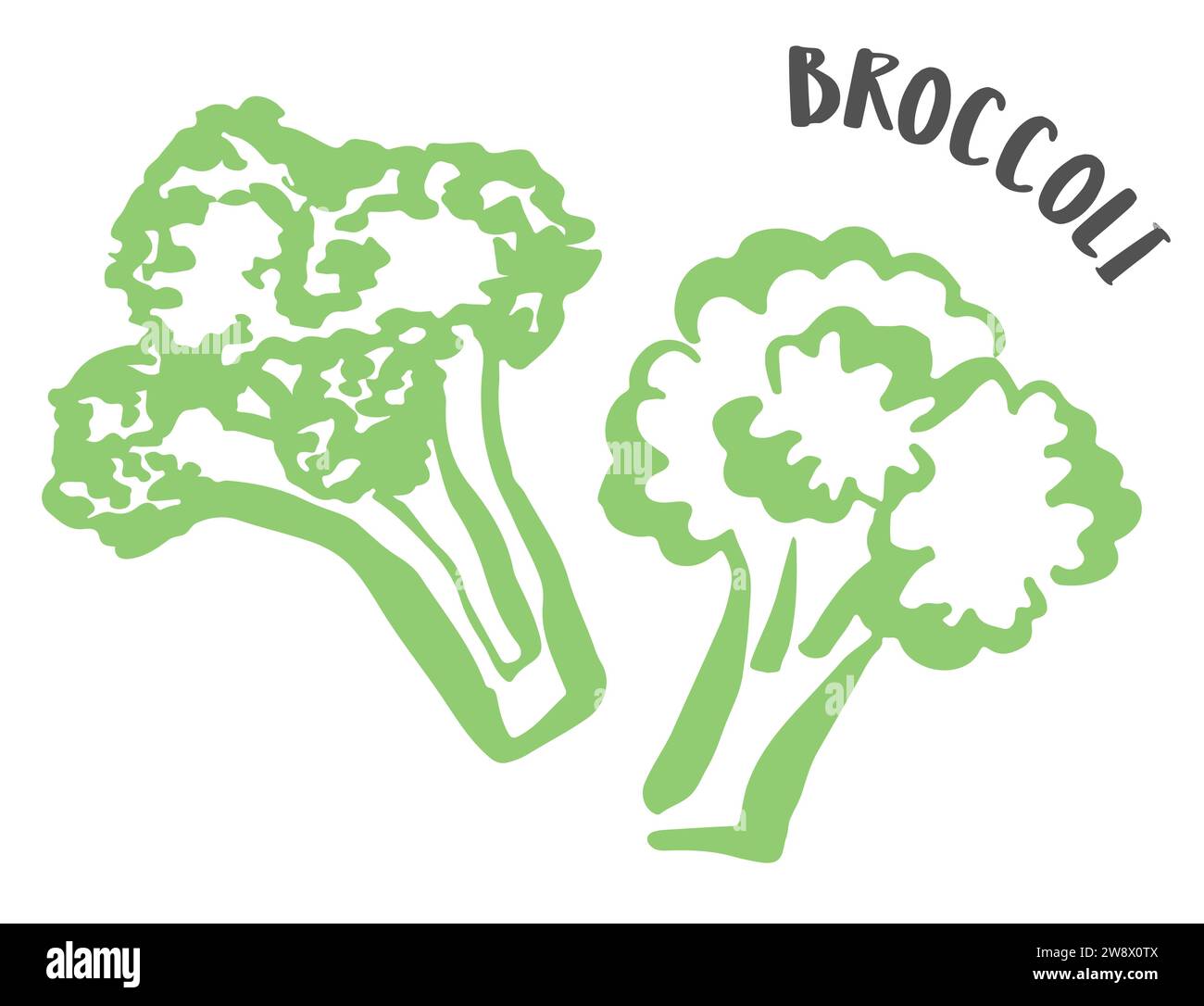 Set of 2 Broccoli drawing hand painted with ink brush isolated on white ...