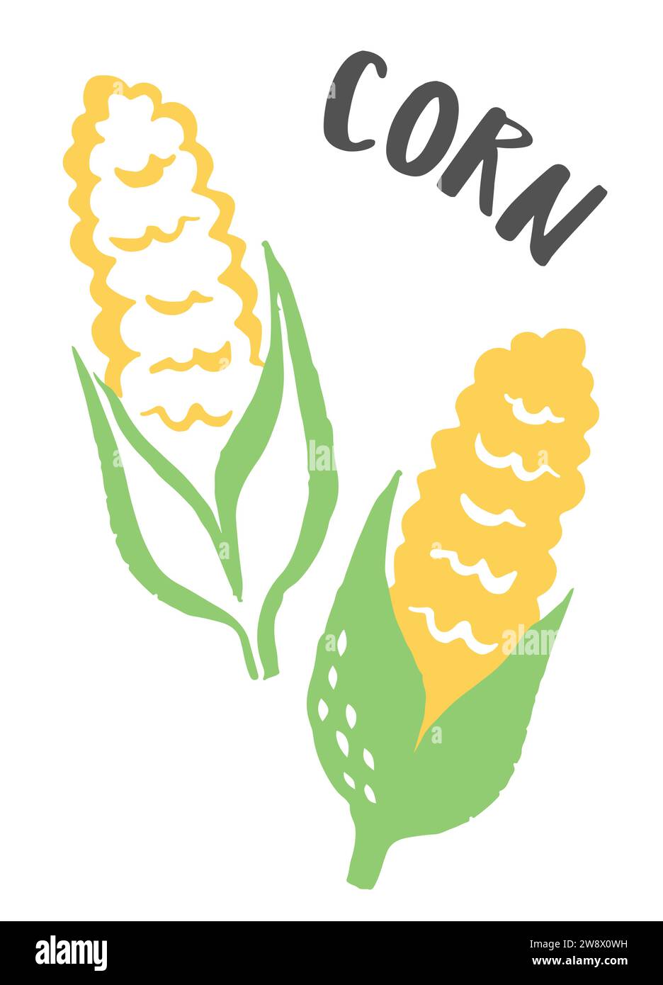 Set of 2 corn cobs drawing hand painted with ink brush isolated on ...