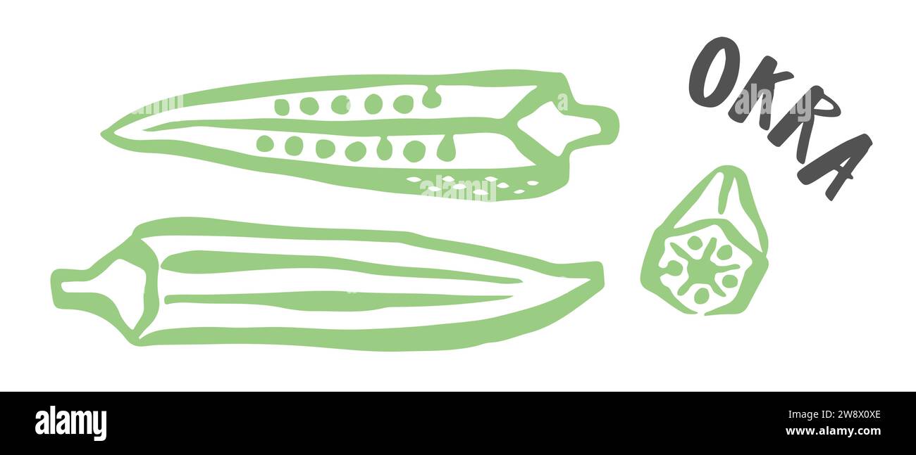 Okra drawing hand painted with ink brush isolated on white background ...