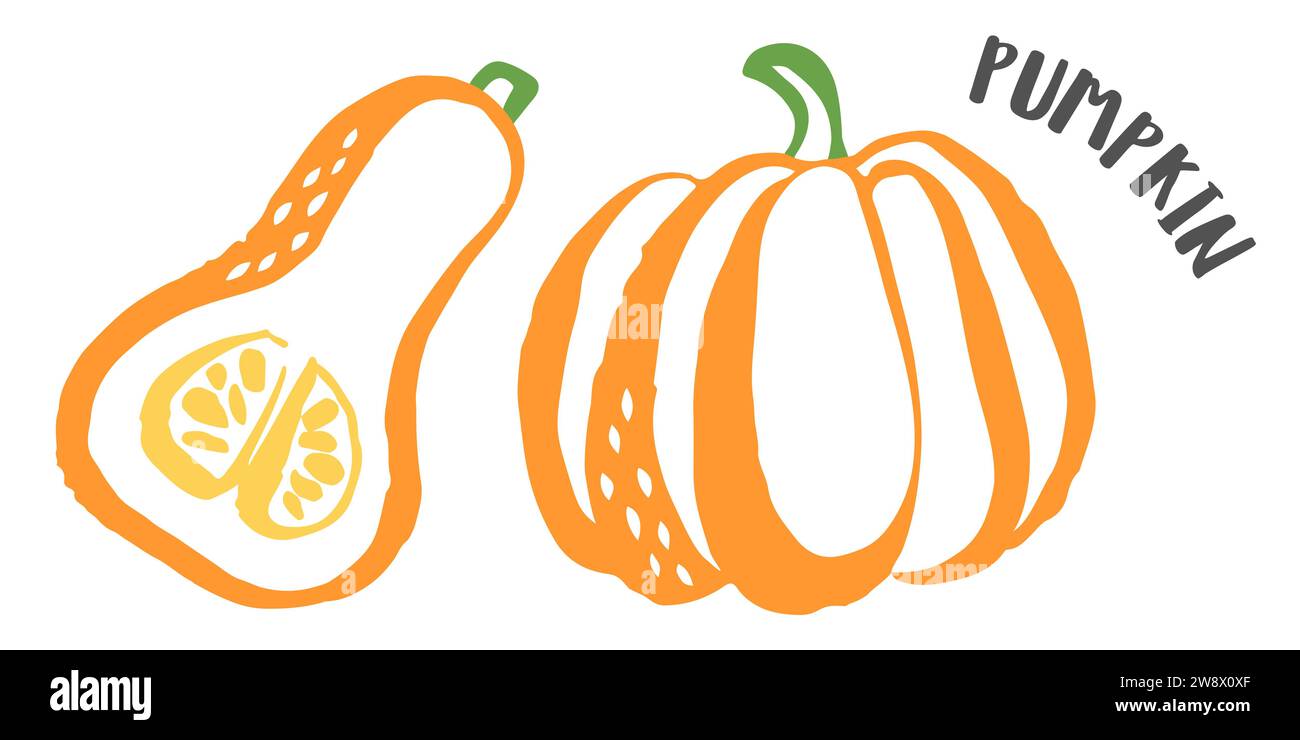 Pumpkin drawing hand painted with ink brush isolated on white ...