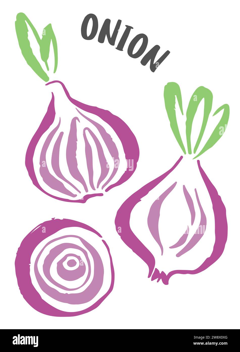 Set of onion drawing hand painted with ink brush isolated on white ...