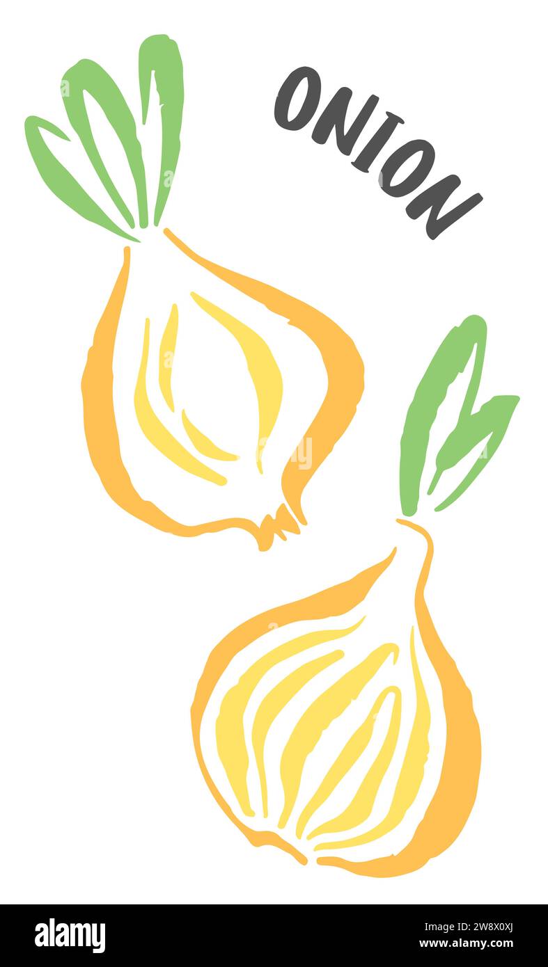 Set of onion drawing hand painted with ink brush isolated on white ...