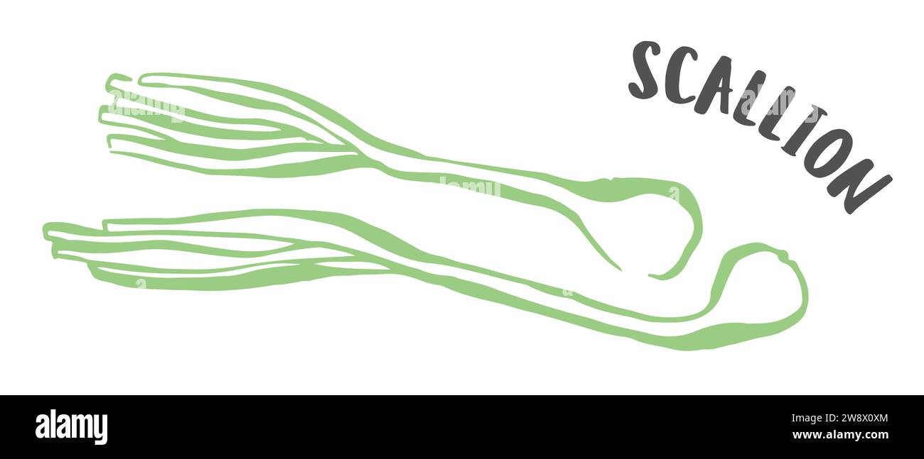 Green onion or scallion drawing hand painted with ink brush isolated on ...