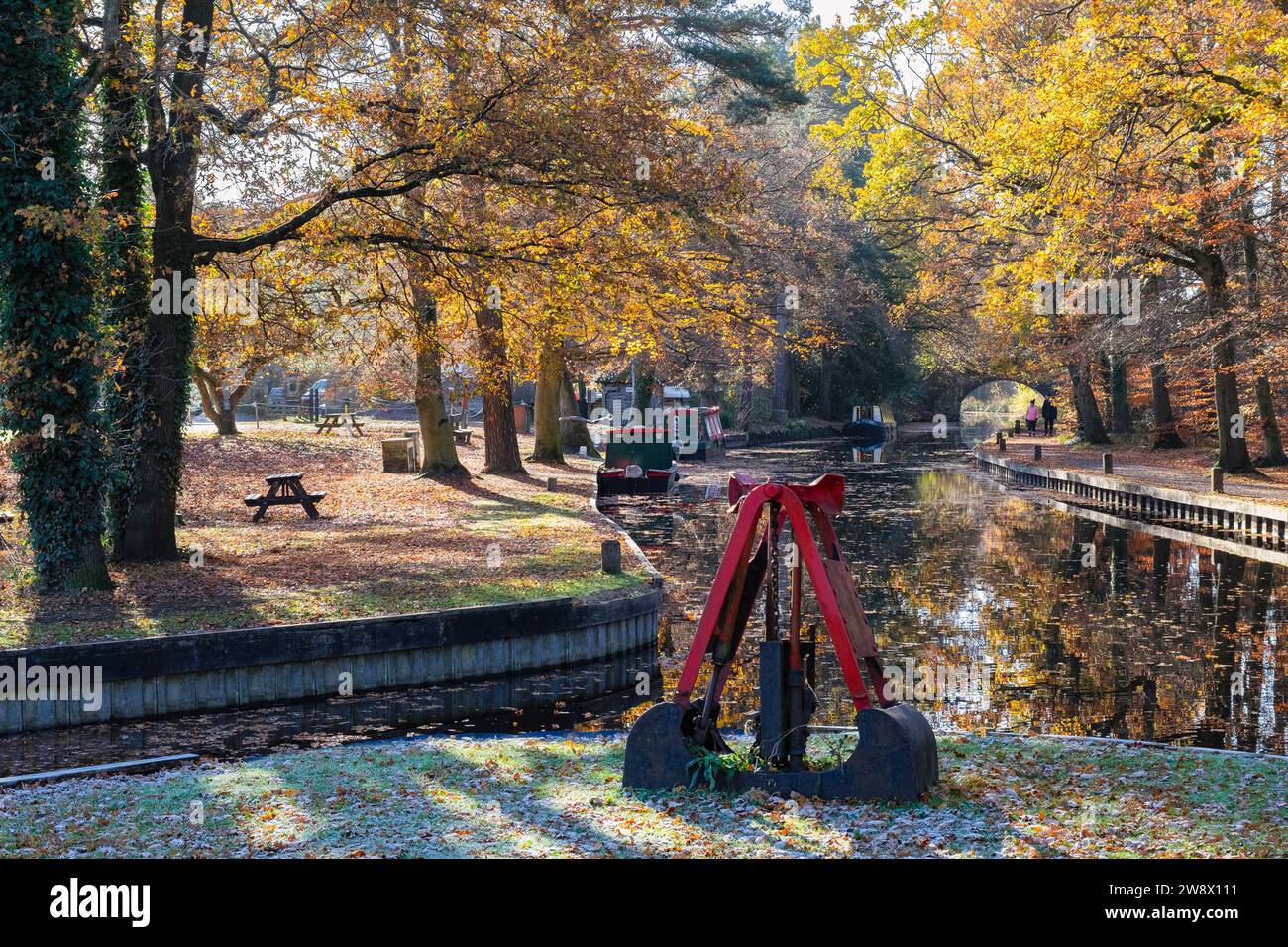 View along the Basingstoke Canal from the Visitor Centre in autumn ...