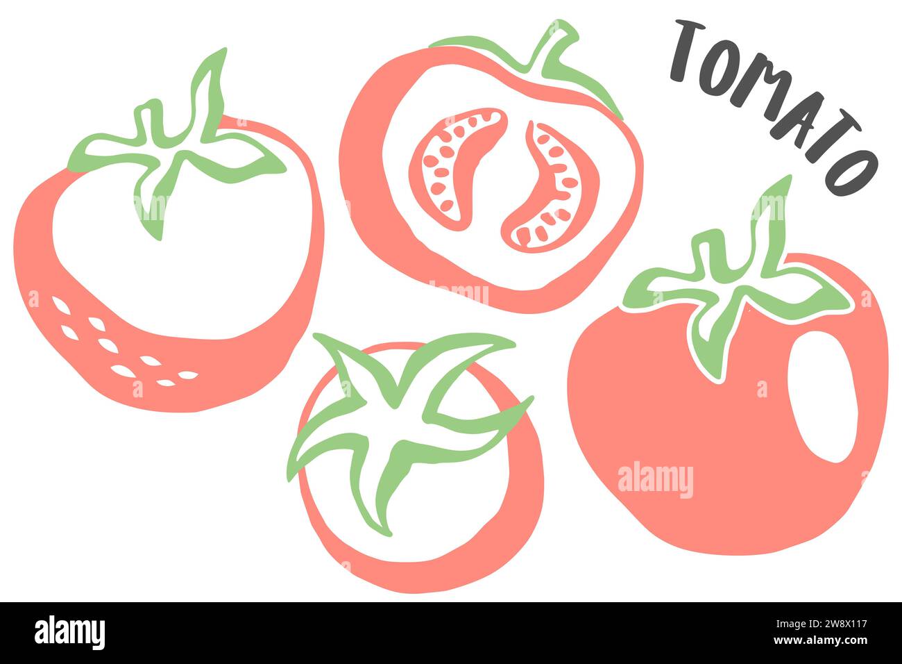 Set of tomato drawing hand painted with ink brush isolated on white ...