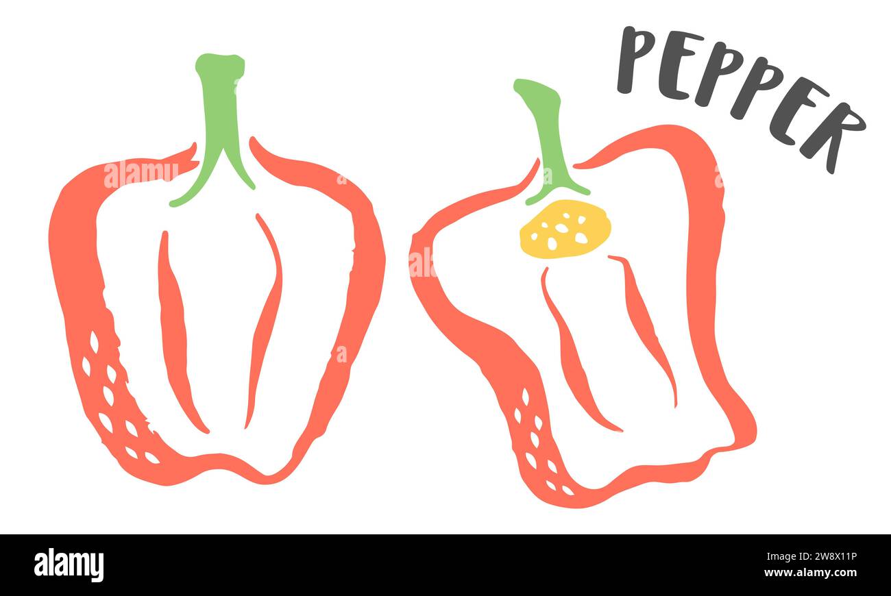 Bell Pepper drawing hand painted with ink brush isolated on white ...