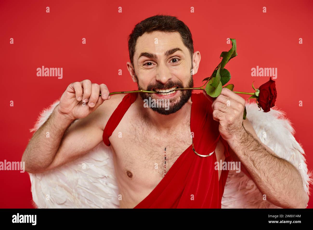 excited man in cupid costume grimacing and holding rose in teeth on red ...