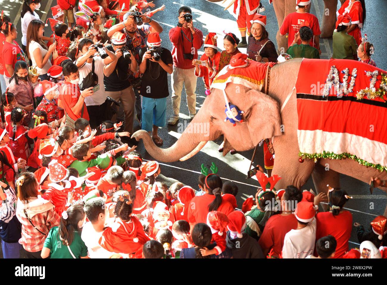 Ayutthaya, Thailand. 22nd Dec, 2023. An elephant interacts with ...