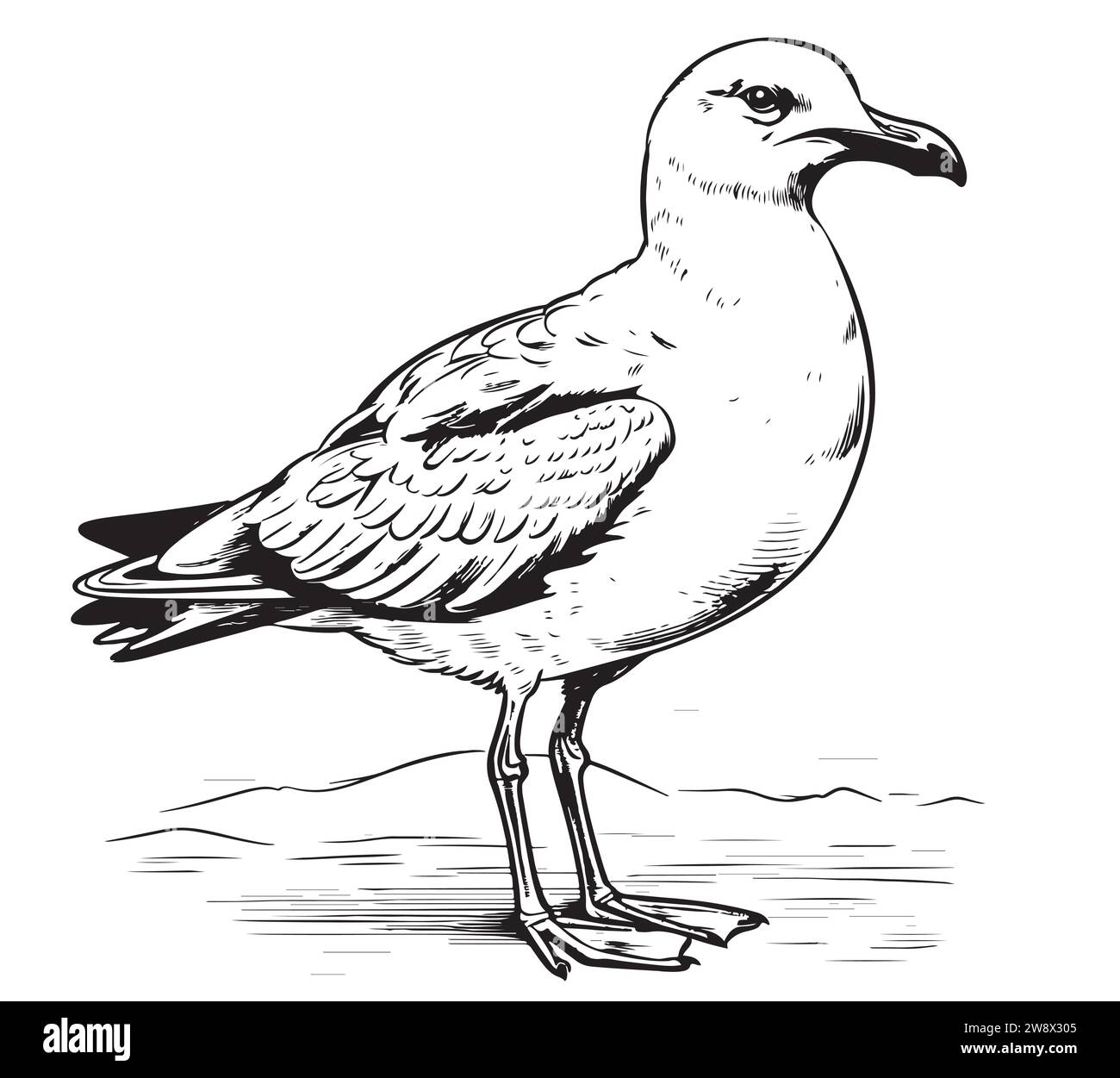 Seagull bird animal sketch engraving vector illustration. Scratch board ...