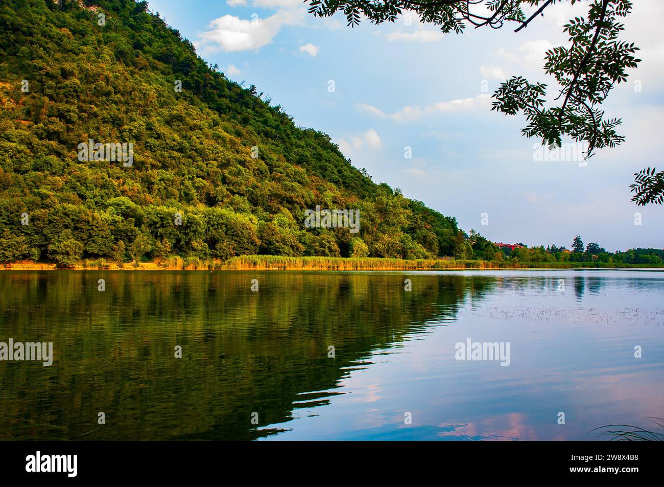 Segrino lake during a sunny day in summer with mountain's reflection on ...