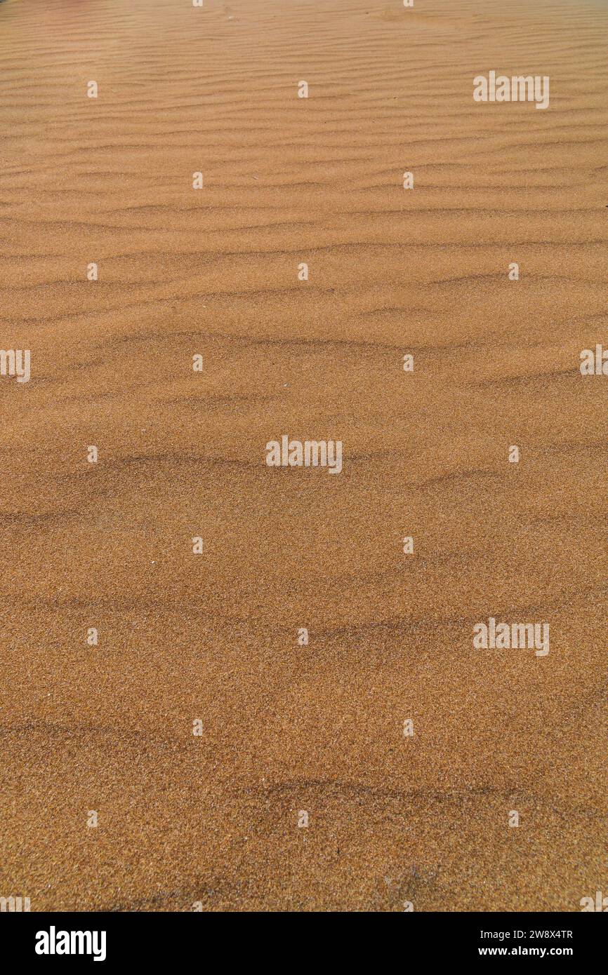 Fine Sand Texture with Gentle Ripples in Natural Lighting Stock Photo ...