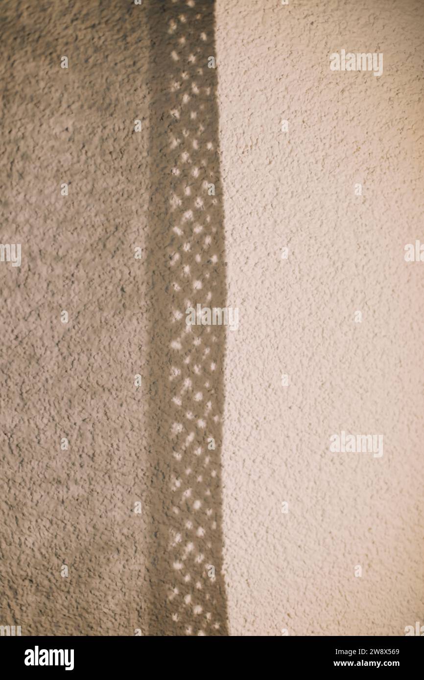 Lace curtains and their shadows. Sunlight falling on wall and creating ...