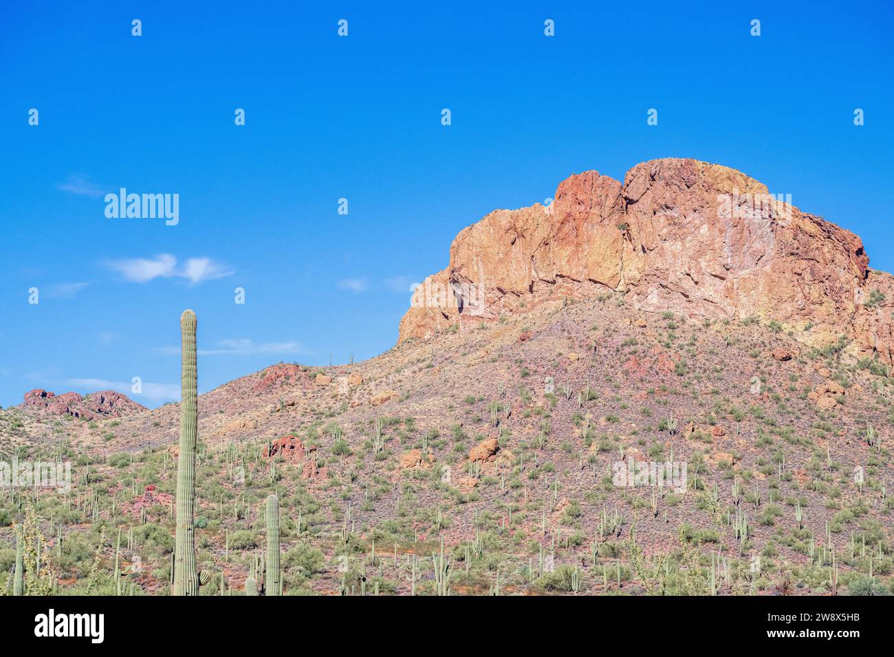 Tonto National Forest USA / America- desert landscape biome near ...