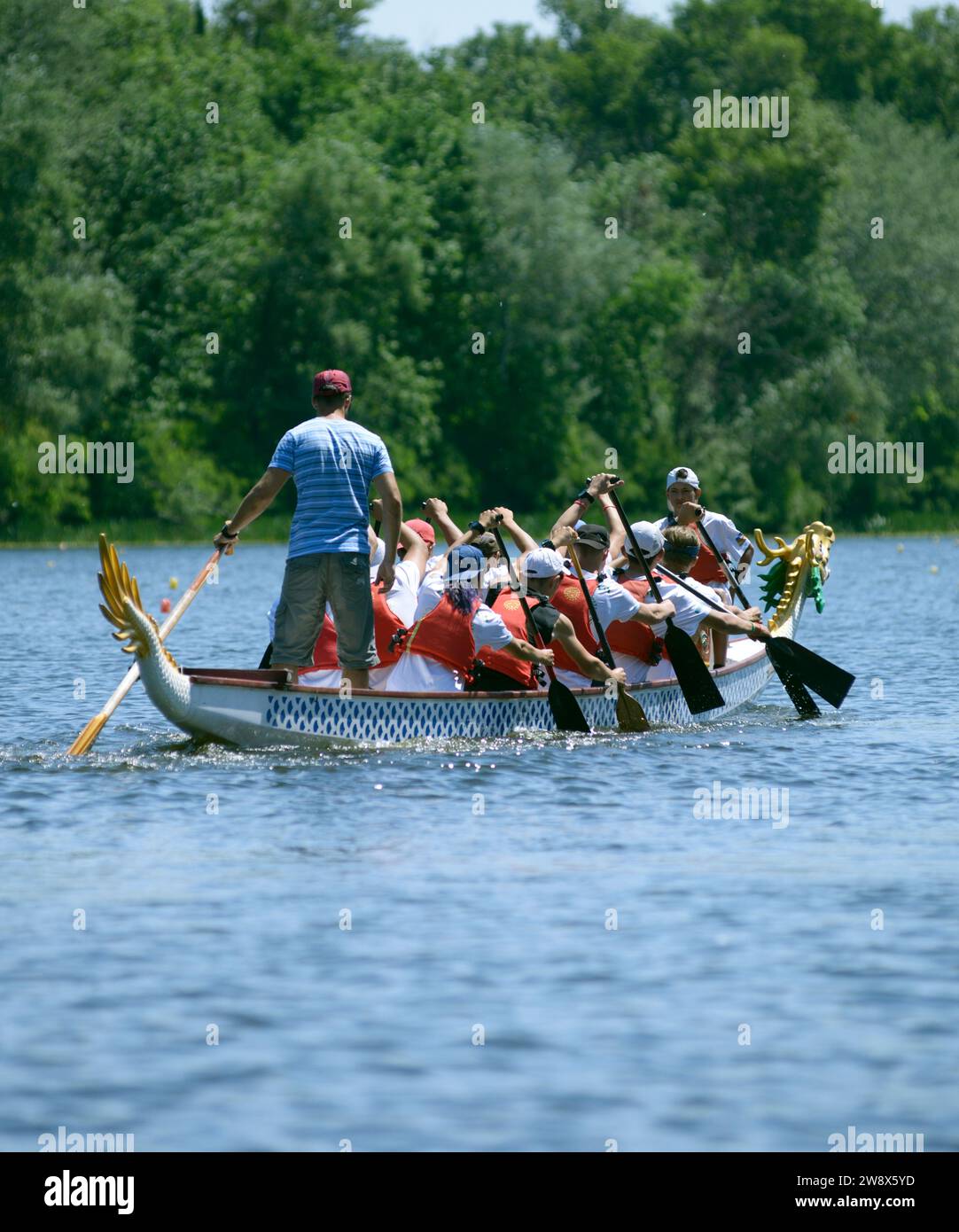 Oarsmen rowing a dragon boat on a river. Kiev oblast championship among ...