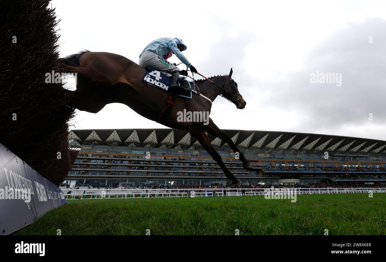 Persian Time ridden by Nico de Boinville wins The Howden Novices ...