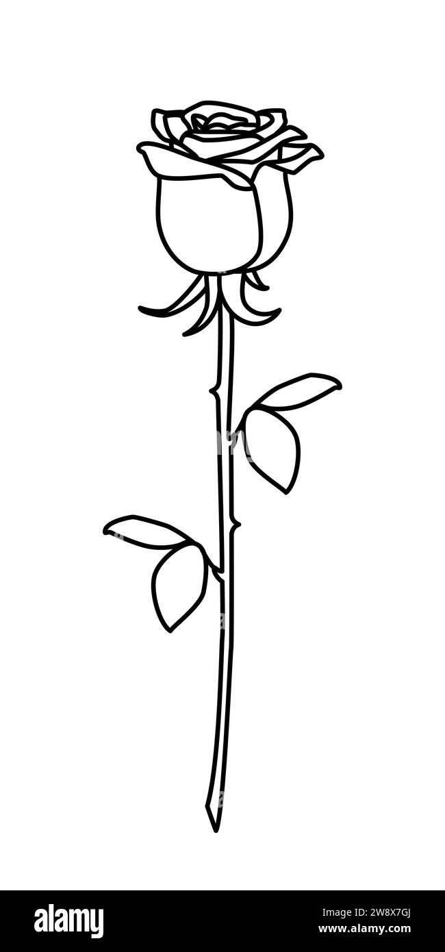 Scribble rose flower. Hand drawn with thin line. Vector illustration ...