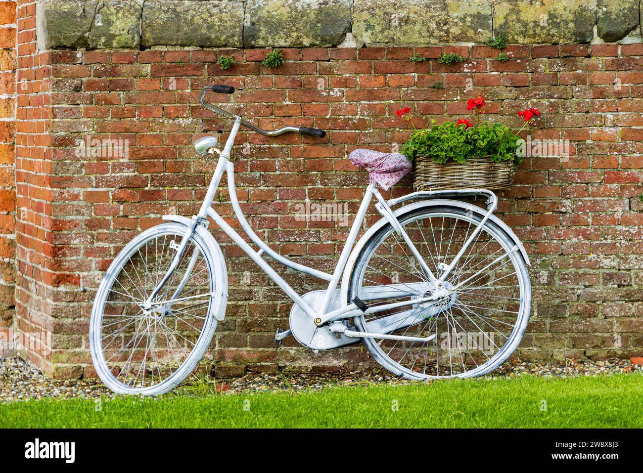 Dutch white bike with flower basket filled with red geranium flowers ...